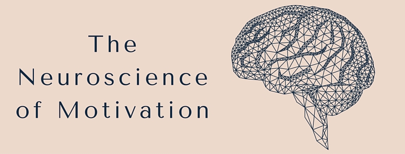 THE NEUROSCIENCE OF MOTIVATION | MBA@UNC